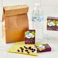 Great Value Sun-Dried Raisins, 6 Pack, Seedless Snack, 6 x 1oz Cartons ...