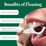 GURU NANDA 2-IN-1 Dental Floss Picks 300 Count with Mint Flavored ...