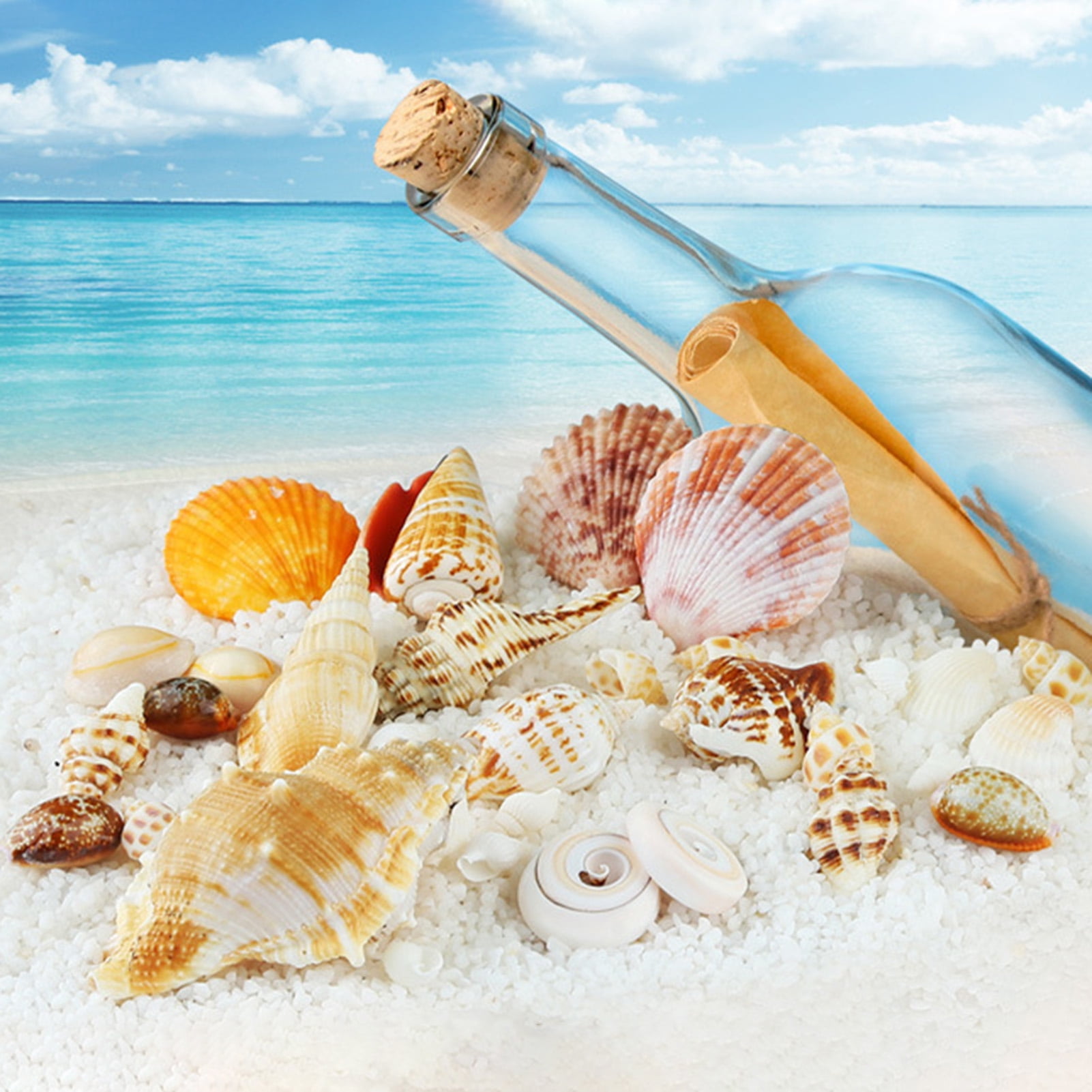 Visland 200g Ecorative, Natural, Multifunctional Aquarium Coral Reef ...