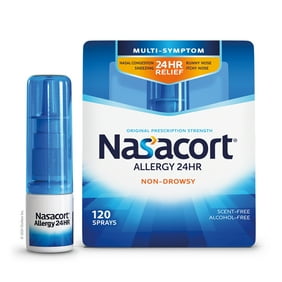 Rhinocort 24 Hour Allergy Relief Budesonide Nasal Spray, 120 sprays ...