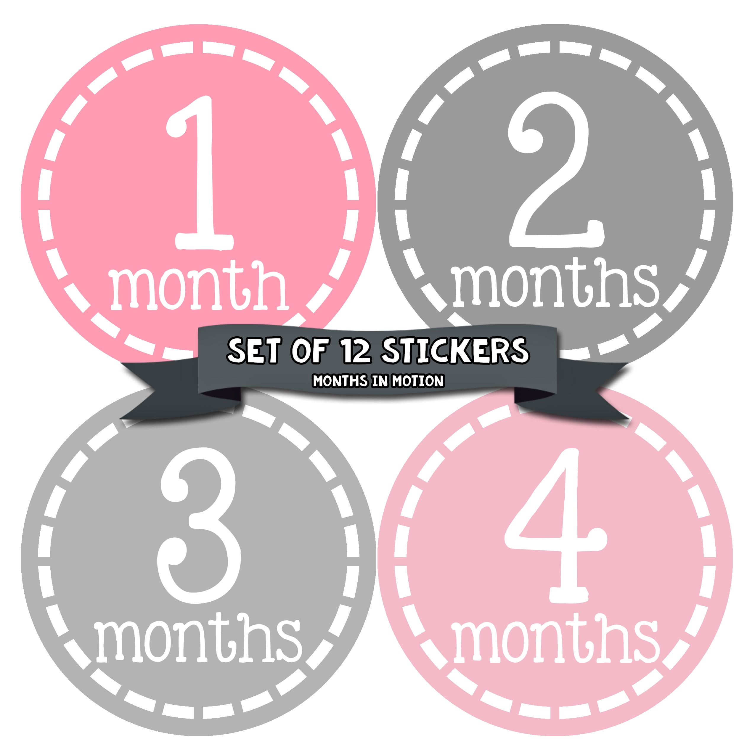 Baby Girl Monthly Onesie Stickers | 12 Month Milestone Sticker for ...