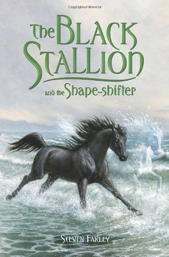 Black Stallion Book Cover