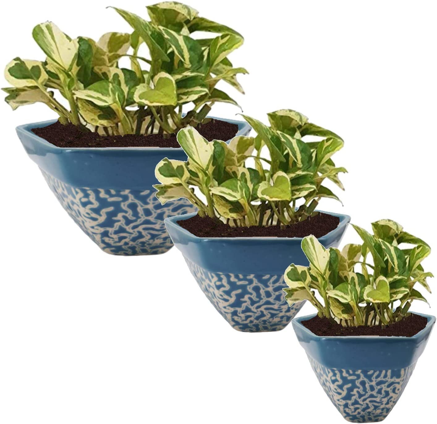 India Meets India Ceramic Flower Pot Planter Indoor Outdoor Planter ...