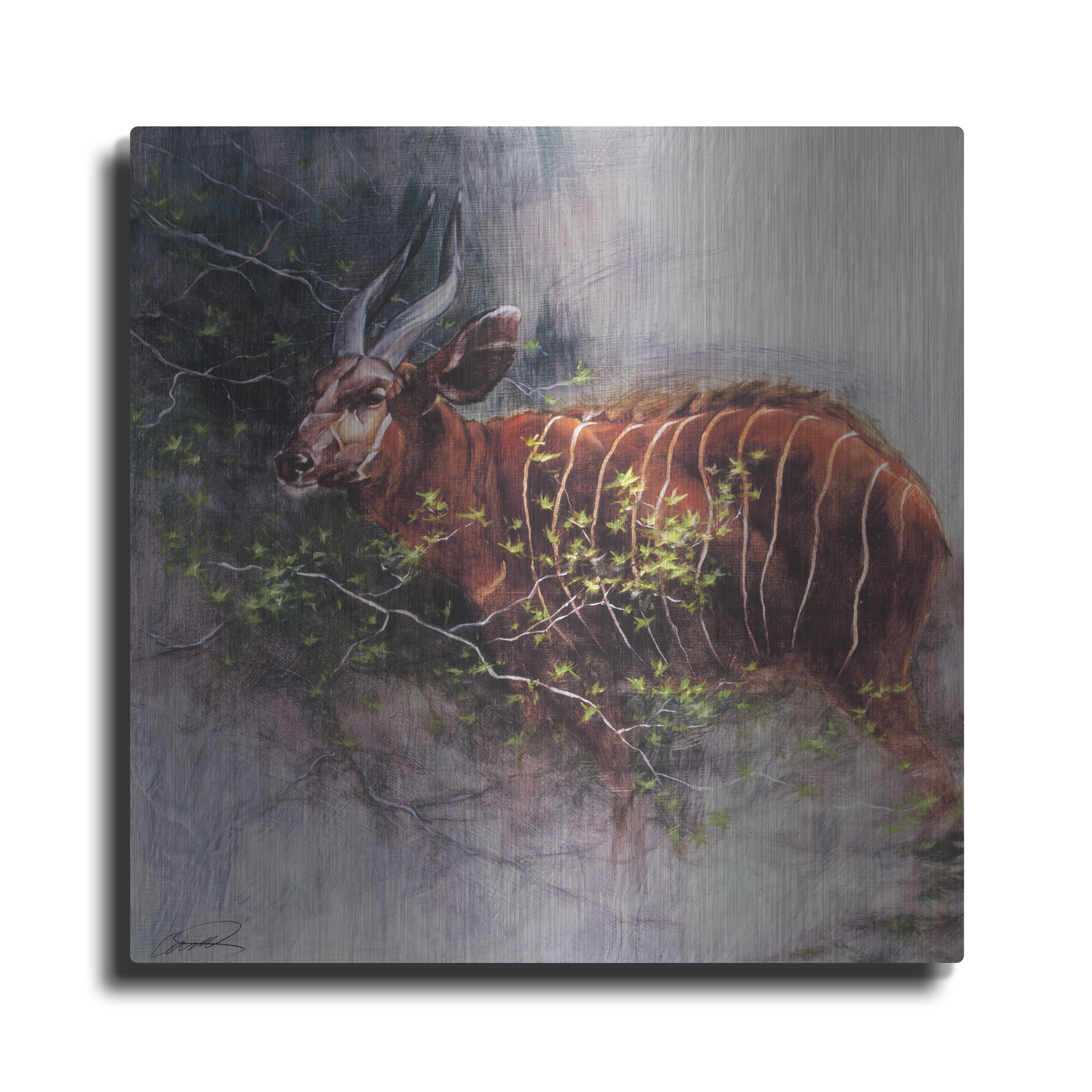 Luxe Metal Art 'Bongo in the Brush' by Robert Campbell, Metal Wall Art, 12"x12" - Walmart.com