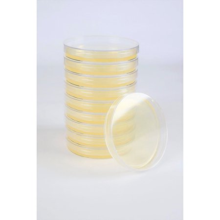 R2A Agar (R2A), Medium for Culturing Bacteria from Potable Water ...