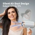 Professional Ionic Hair Dryer, Powerful 1600W Fast Drying Low Noise ...
