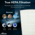 Hunter HP800 Air Purifiers for Home Large Room and Bedroom. - Walmart.com
