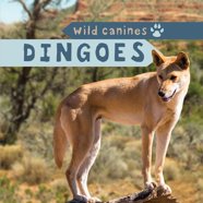 Step into Reading: Wild Dogs and Canines! (Wild Kratts) (Hardcover) - Walmart.com