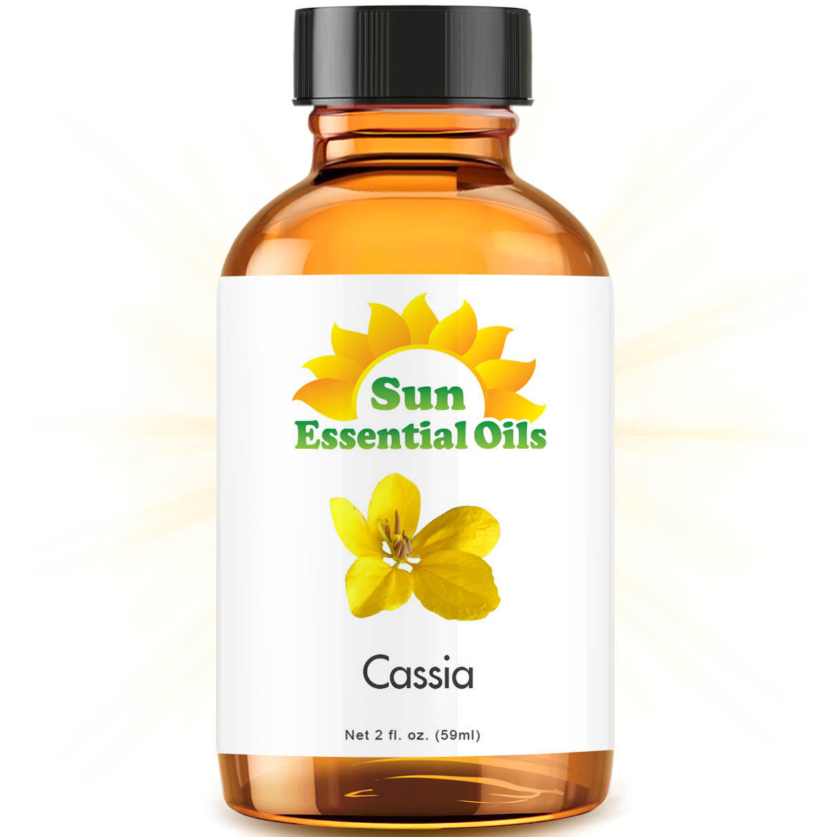 Cassia Essential Oil (Huge 2oz Bottle) Bulk Cassia Oil - 2 Ounce ...