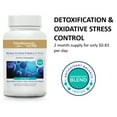 Vital Remedy MD HomocysteineFormula-PLUS - 60 tablets - Walmart.com