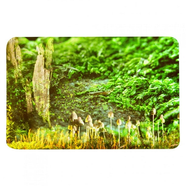 Pool Cleaning Diaphragm,2Pcs Pool Cleaner Diaphragm Pool Cleaner ...