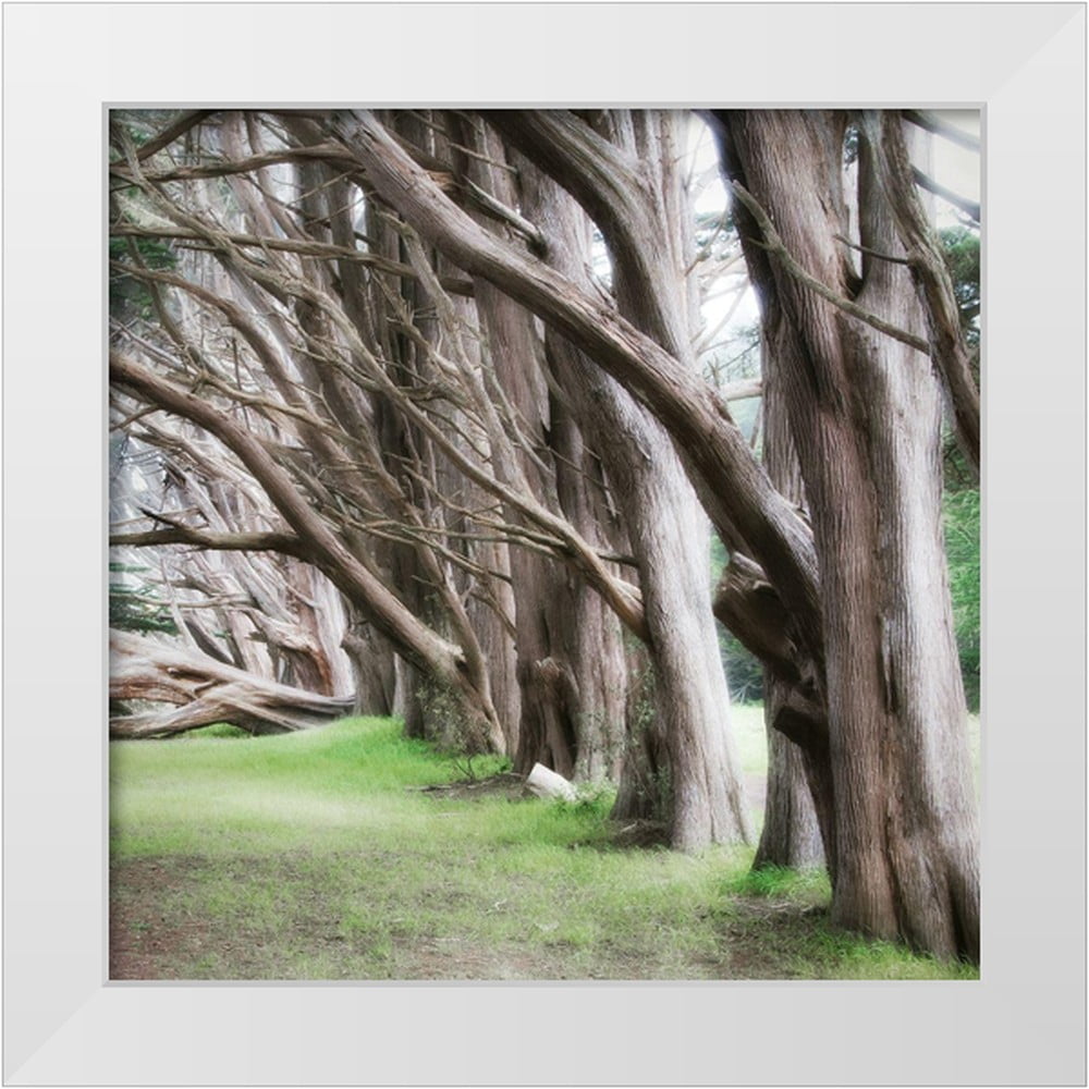 Poinski, Dianne 20x20 White Modern Wood Framed Museum Art Print Titled ...