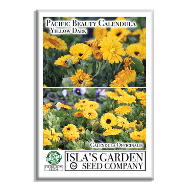 Fancy Mix Calendula Seeds (Calendula officinalis) - 250+ Non-GMO ...