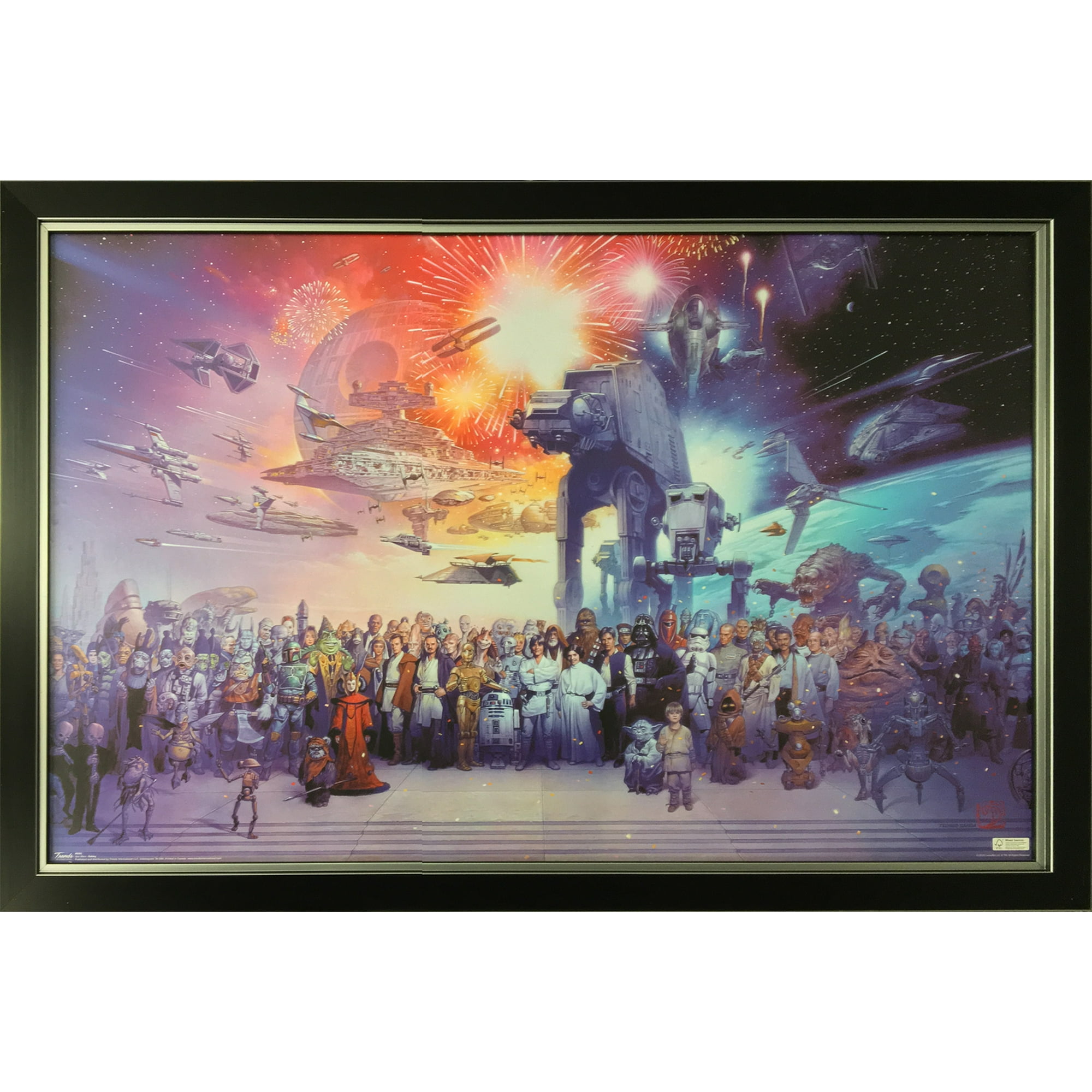 Star wars framed art store
