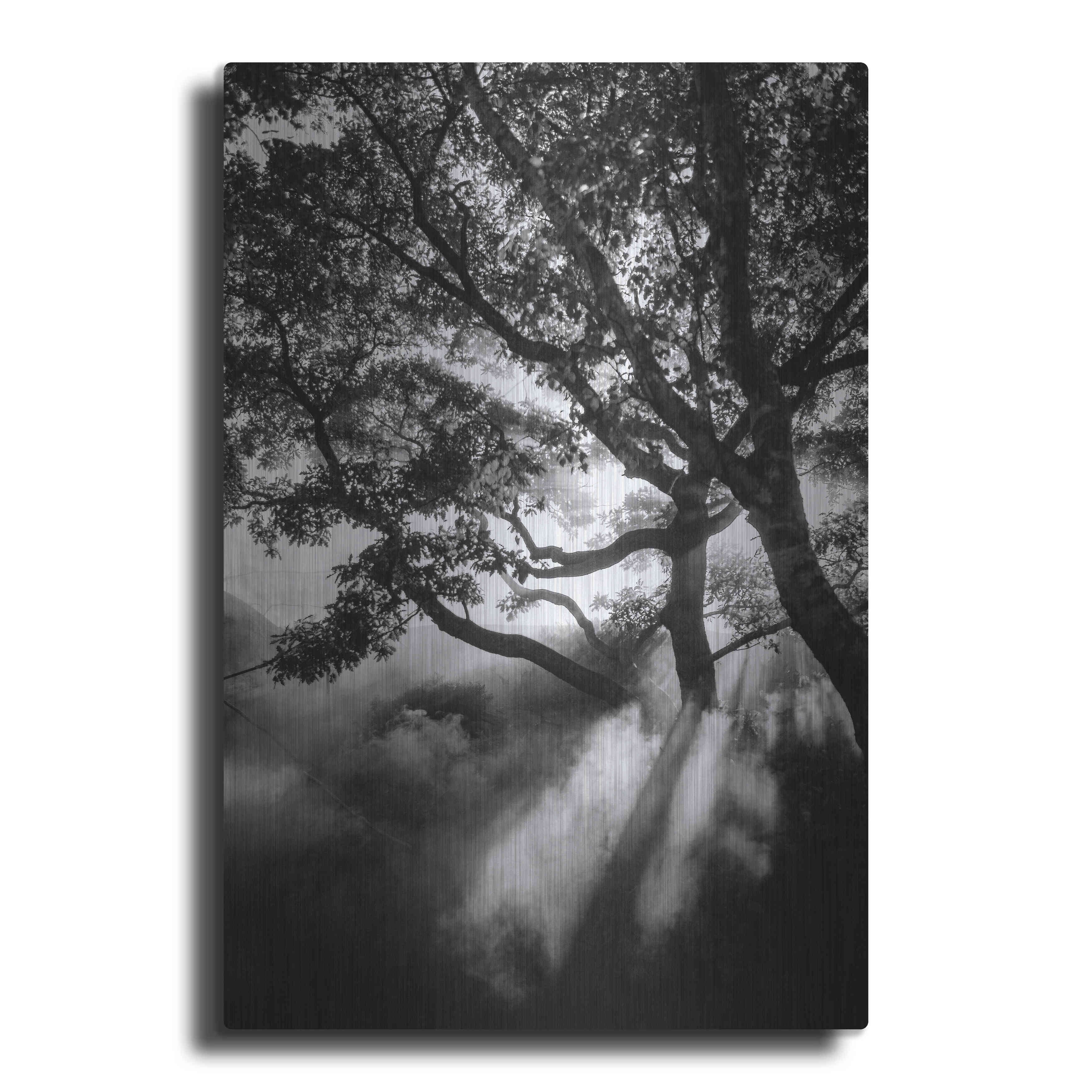 Luxe Metal Art 'Misty Black' by Design Fabrikken, Metal Wall Art, 12 ...