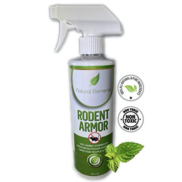 Peppermint Oil Pest Control