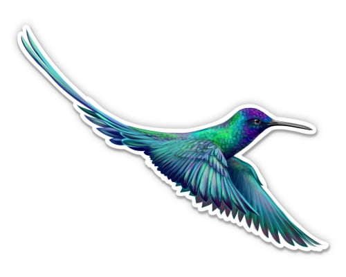 Colorful Hummingbird - 3" Vinyl Sticker - For Car Laptop I-Pad Phone ...