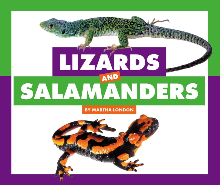 Comparing Animal Differences: Lizards and Salamanders (Hardcover ...