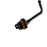 Holley EFI 554-100 Oxygen Sensor - Walmart.com