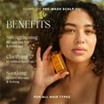 Hair Care Complete Pre Wash Scalp Oil And Hair Oil Pre Shampoo Dry