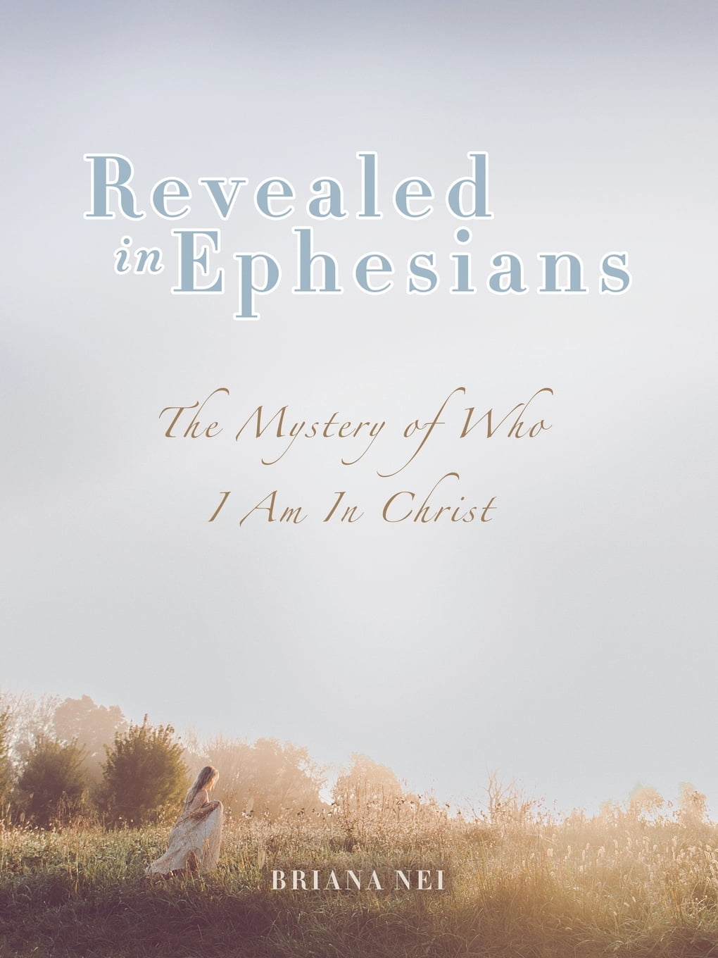 Revealed in Ephesians : The Mystery of Who I Am in Christ (Paperback) - Walmart.com