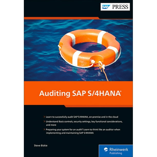 Sap Audits