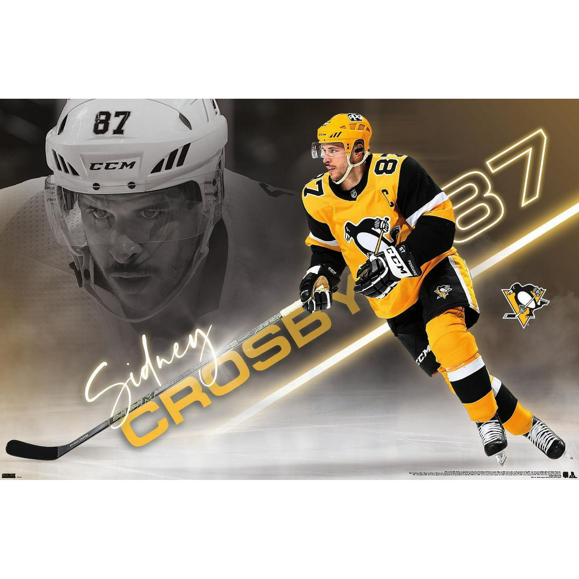 Click here for Trends International Nhl Pittsburgh Penguins - Sid... prices
