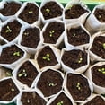ANXPTIME Indoor Germination Bags Nursery Plant Grow Bags Flower ...