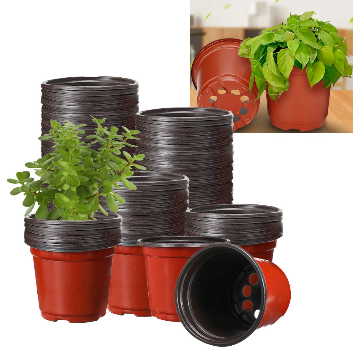 Cokden 130 Pcs 10cm Plastic Plant Nursery Seed Pots Plastic Plant Pots ...