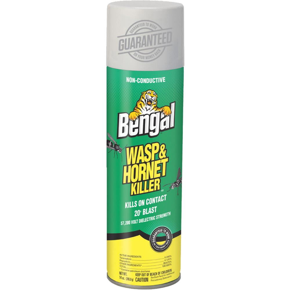 Bengal 97118 Non-Conductive Wasp and Hornet Killer Liquid 14 oz ...
