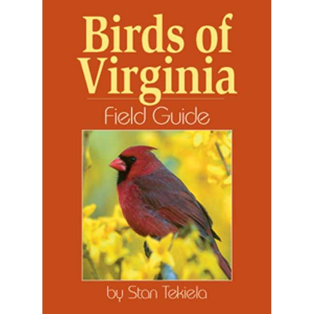 Bird Identification Guides: Birds of Virginia Field Guide (Paperback ...