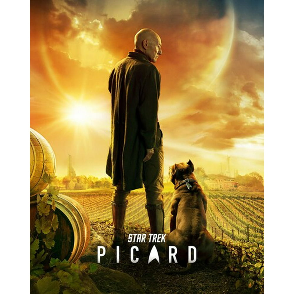 Star Trek: Picard: Season One (Blu-ray) - Walmart.com - Walmart.com