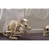 Rat Attack Giant Skeleton Rat Halloween Decoration, 20 Inches - Walmart.com