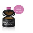 Everpro Quick Fix Grey Corrector, Gray Away Root Touch-Up Magnetic ...