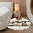 5ft Round Rug Christmas Balls Pink Area Rugs for Living Room Bedroom ...