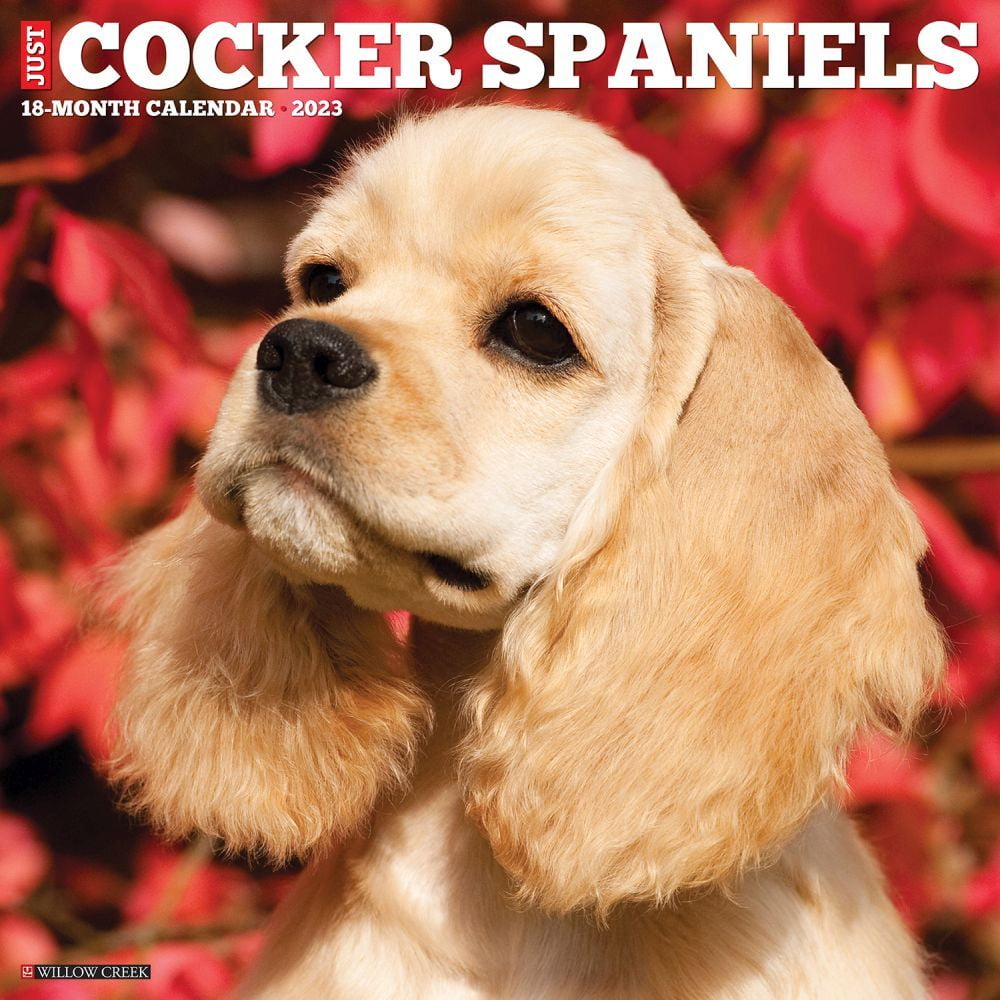 Just Cocker Spaniels 2023 Wall Calendar - Walmart.com
