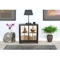Sunny Designs Ryan Modern Black Glass Door Cabinet with Shelving ...