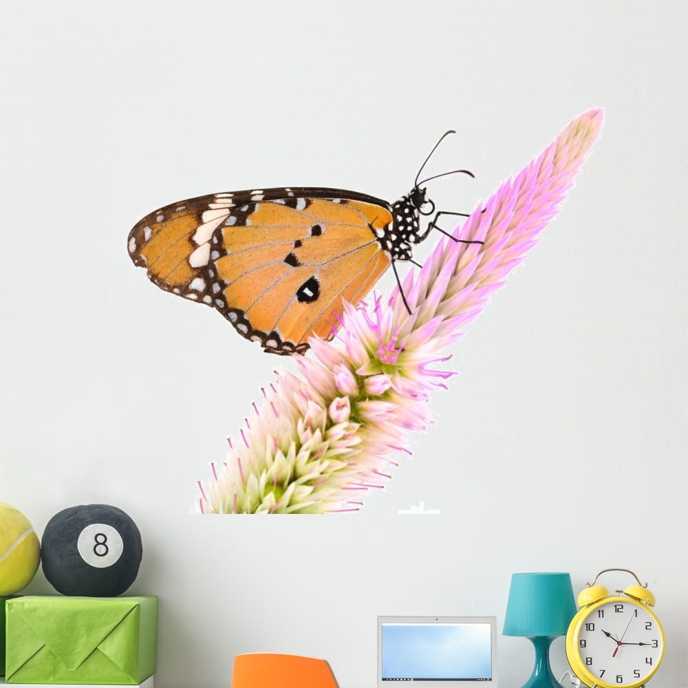 Monarch Butterfly Flower Wall Mural by Wallmonkeys Peel and Stick ...