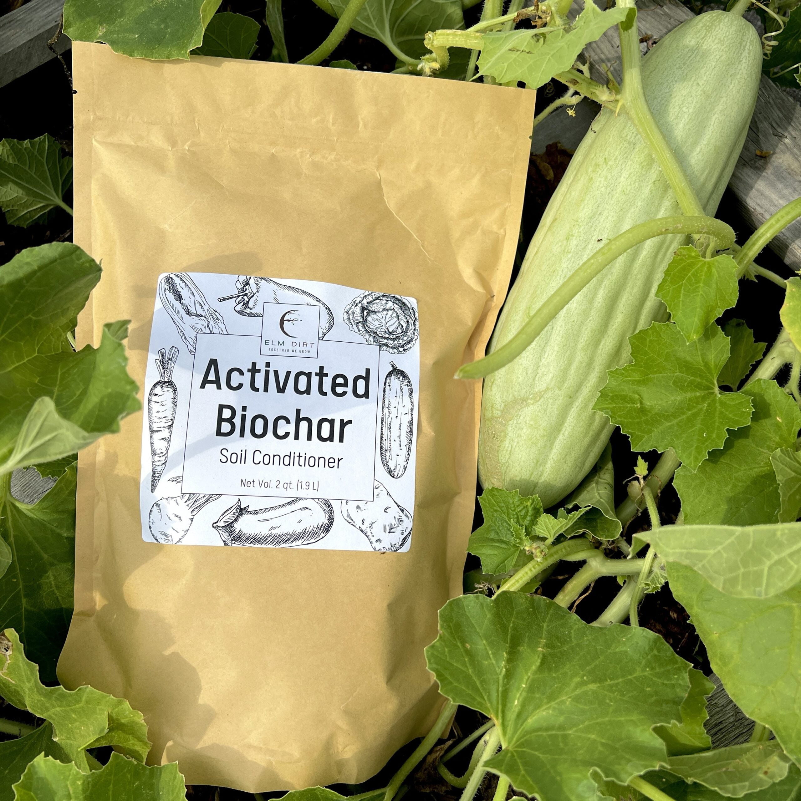Activated Biochar - Walmart.com