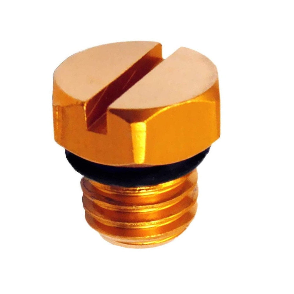 LisFaxbo Fuel Filter Housing Exhaust Screw Gold For 2001-2017 Buick ...