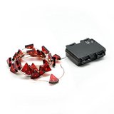 Watermelon String Lights 25ct Battery Operated - Walmart.com