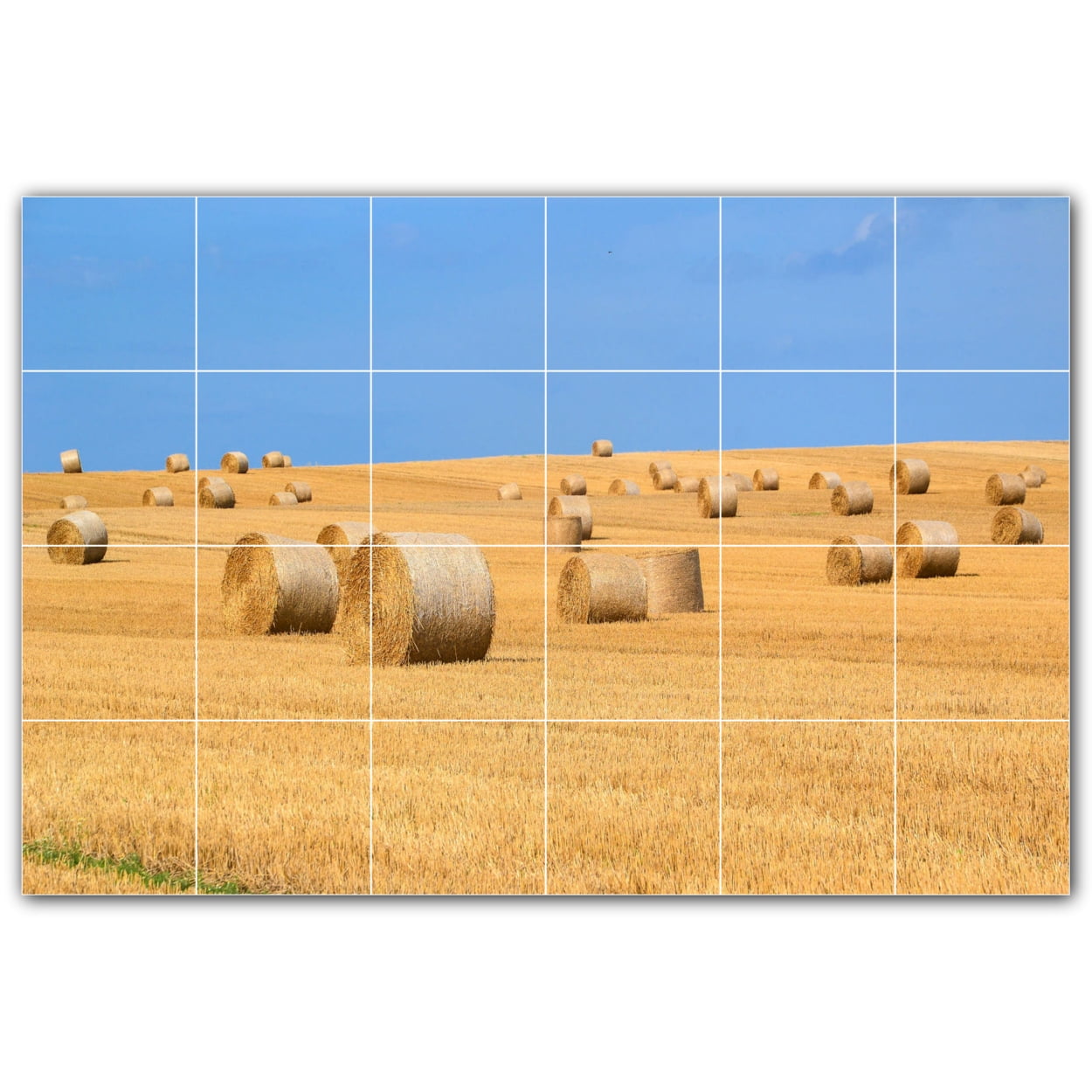 Picture-Tiles.com: Farm Ceramic Tile Wall Mural WAL500594-64L. 48"W x ...