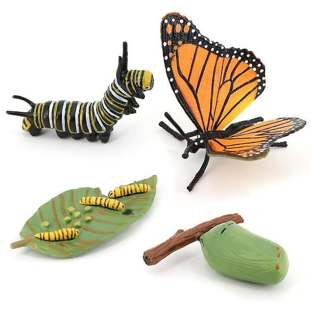 Junmo Simulated Arthropod Life Cycle With Butterfly Model ...