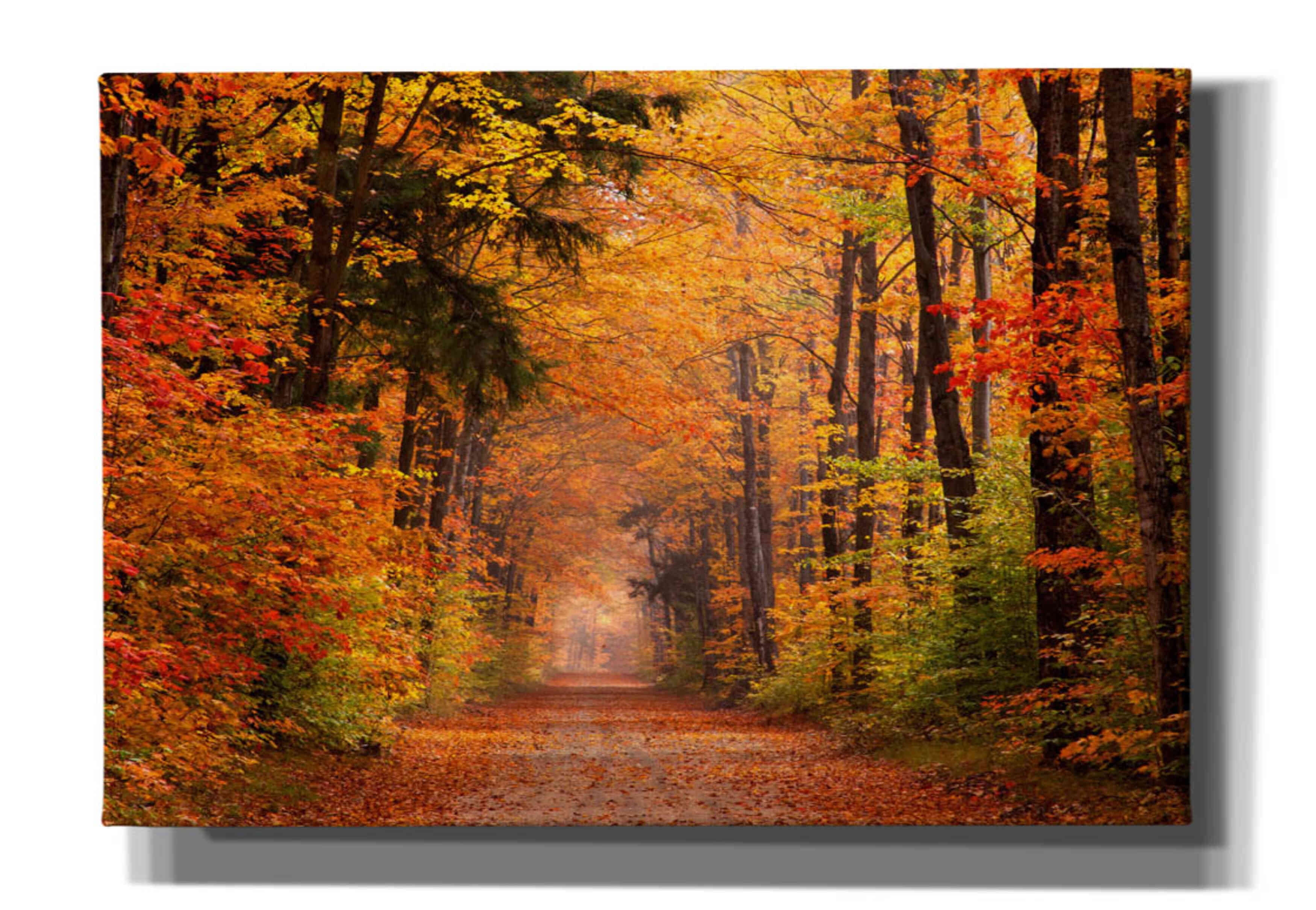 Epic Graffiti 'Autumn Road' by David Hammond, Giclee Canvas Wall Art ...