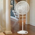 Lasko 16 Inch Oscillating Adjustable Tilting Pedestal Stand Fan, White ...