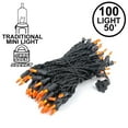 Novelty Lights Amber/Orange 100 Light Incandescent Mini Christmas ...