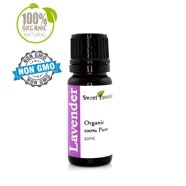 NOW Essential Oil, Lavender & Tea Tree, 1 Fl Oz - Walmart.com