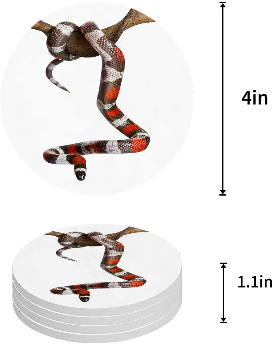 ZHANZZK Red Snake Wild Set of 6 Round Coaster for Drinks, Absorbent ...