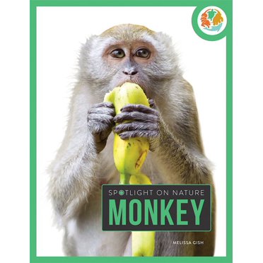 Night Monkey, Day Monkey (Board book) - Walmart.com