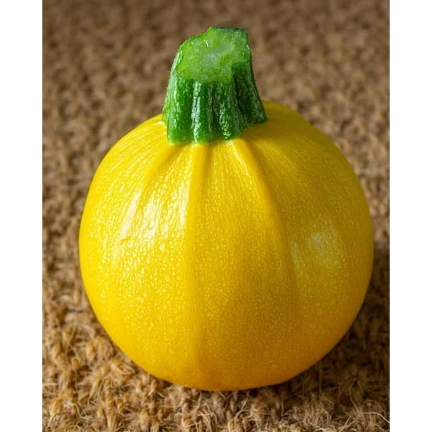 One Ball Squash Seeds for Planting (10 Seeds) - Exotic Pool Ball Sized ...